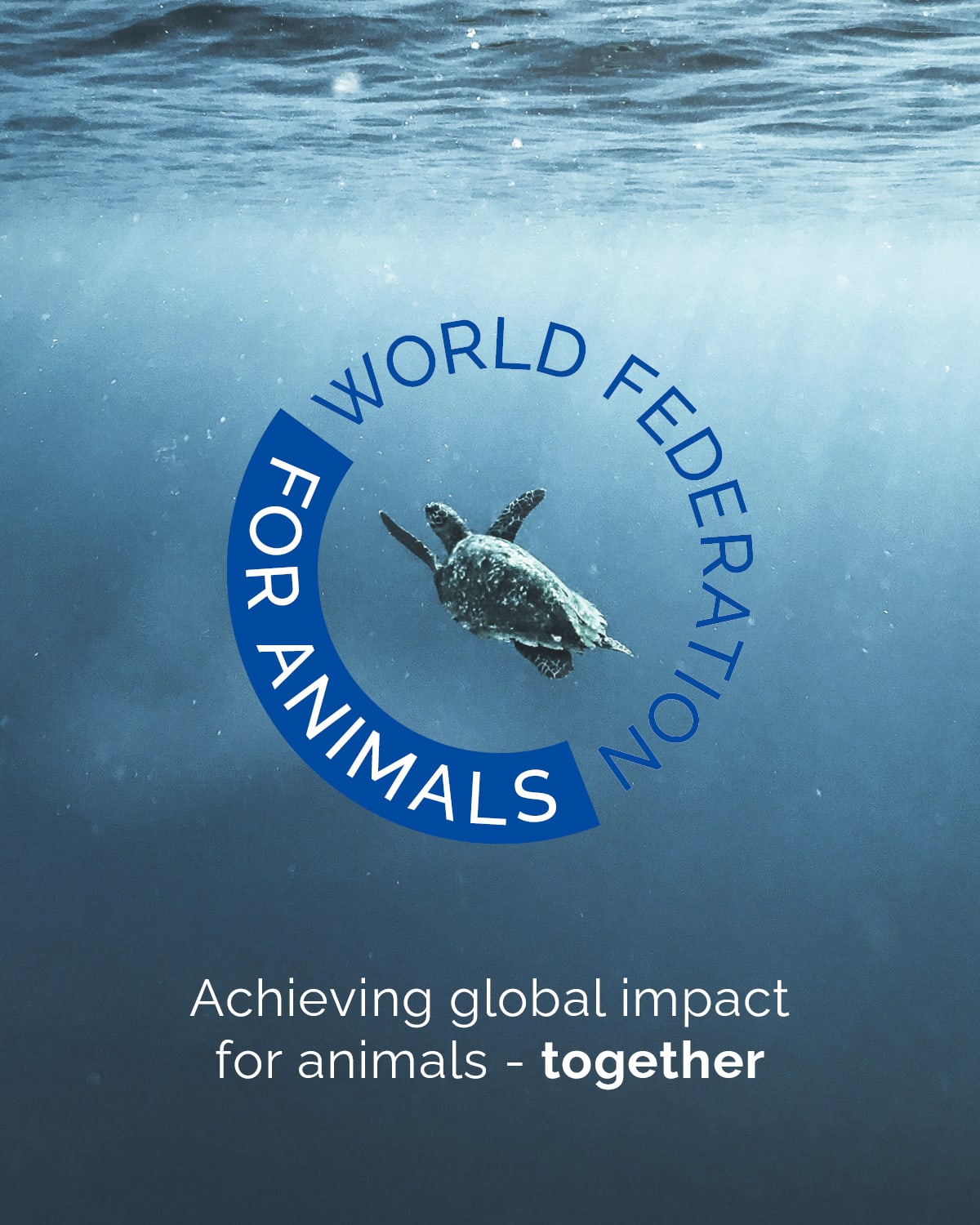 Background – World Federation for Animals