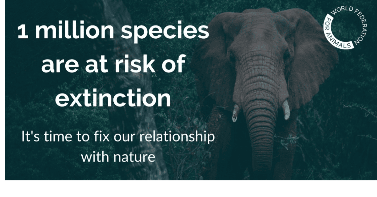 Two-step guide for protecting animal welfare in the UN Biodiversity ...