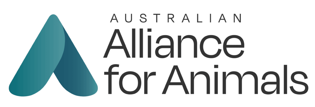 Members – World Federation for Animals