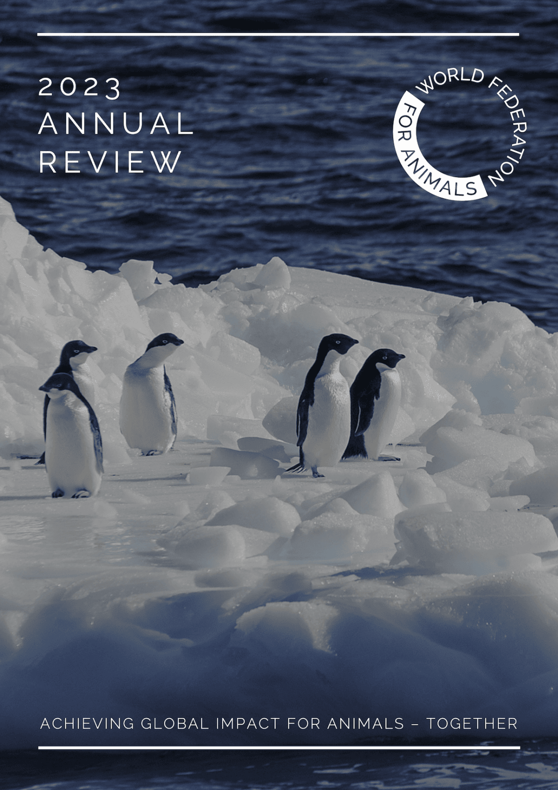 Strategy and progress – World Federation for Animals
