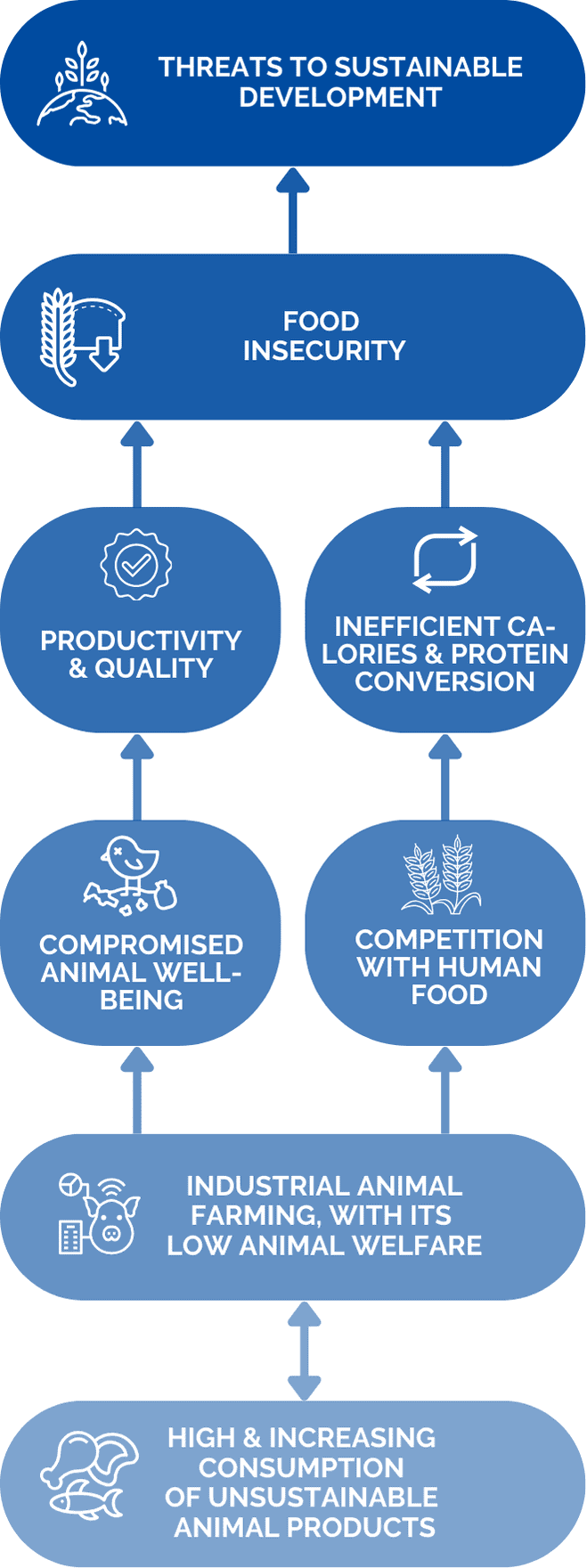 Animal welfare is an opportunity to increase food security