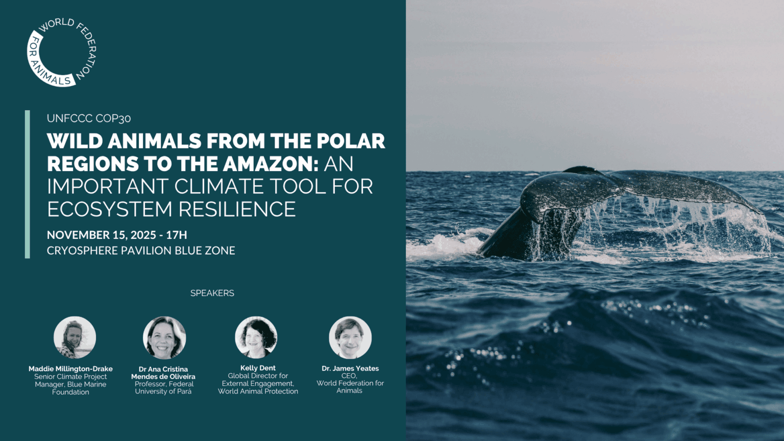 Wild animals from the Polar regions to the Amazon: An important climate ...